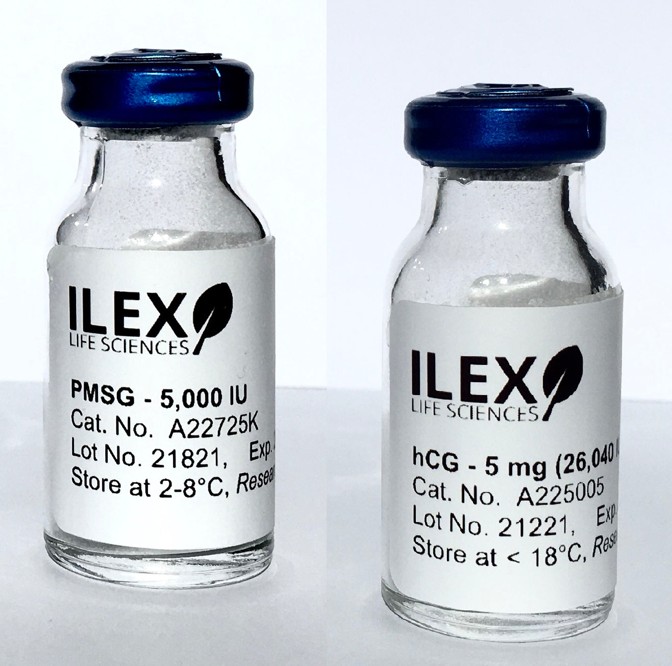 Mouse Superovulation Protocol – Ilex Life Sciences