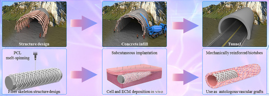Biocolor ECM Assays Used to Evaluate Architecture-Inspired Biomaterial ...