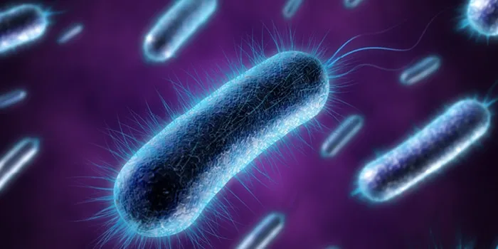 LIONEX EndoTrap® & EndoGrade® Products – Ilex Life Sciences