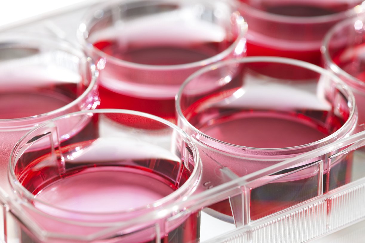 Enzymes/Reagents for Cell Dissociation | Trypsin, EDTA, Trypsin-EDTA ...