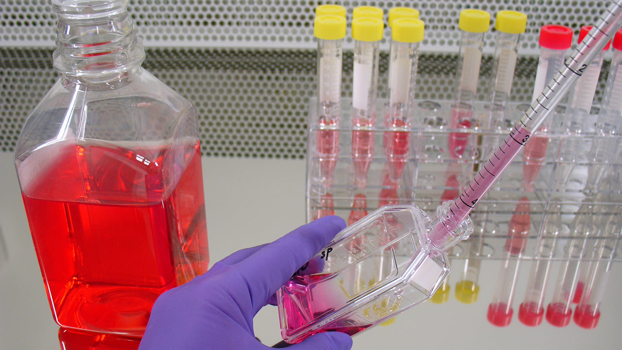 Eagle's Minimum Essential Medium (MEM) – Ilex Life Sciences