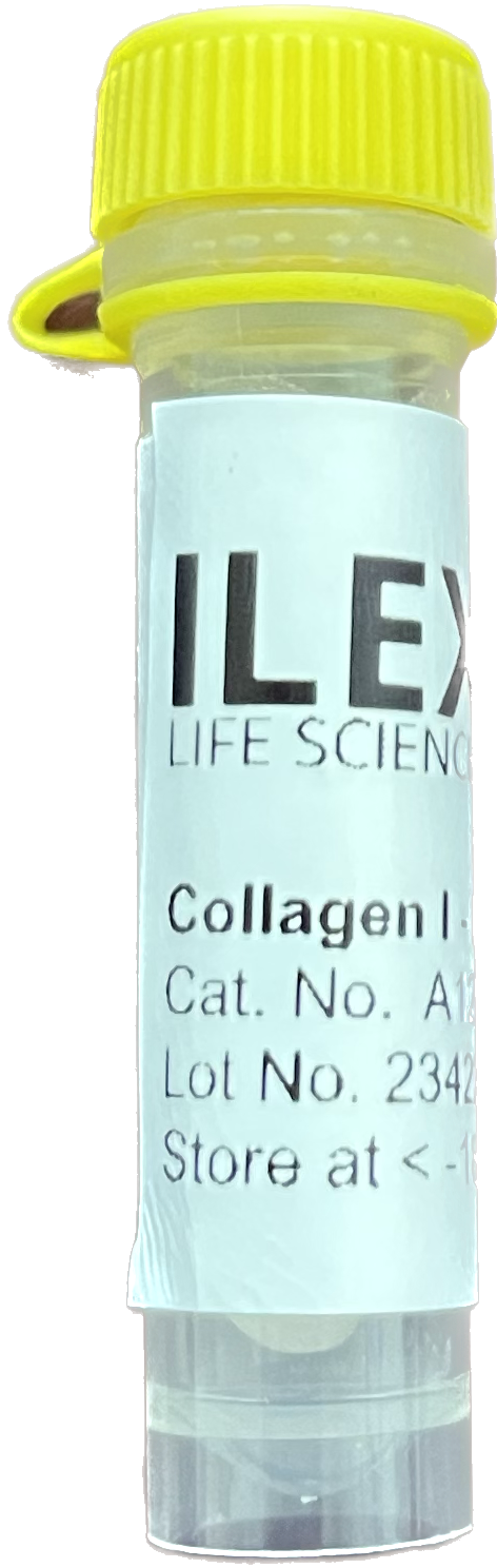 Purified Collagen-I Protein, Mouse Tail Tendon | Type I Collagen – Ilex ...